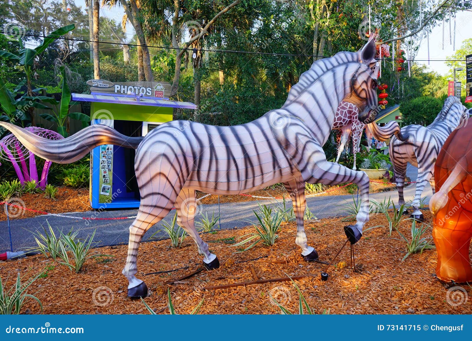 Chinese zebra lantern editorial image. Image of lantern - 73141715