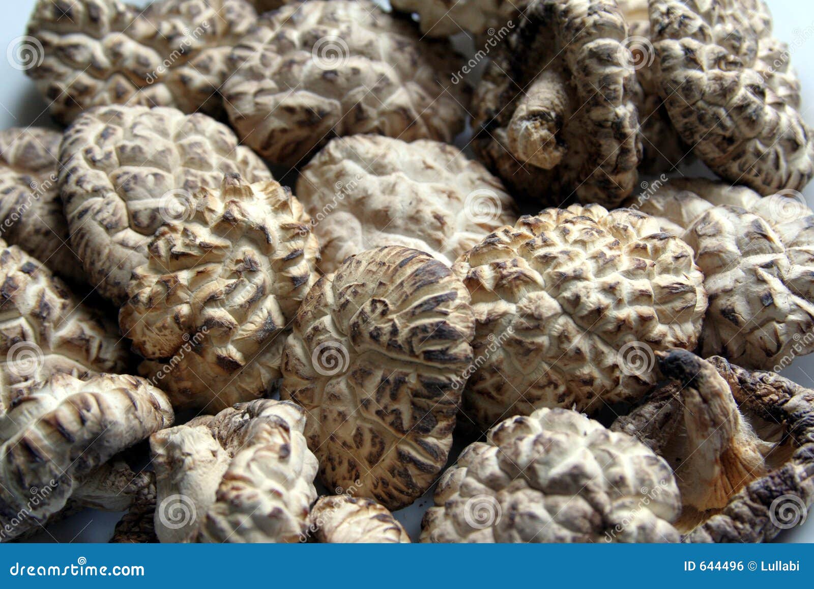 Chinesische Getrocknete Pilze Stockfoto - Bild von ungekocht ...