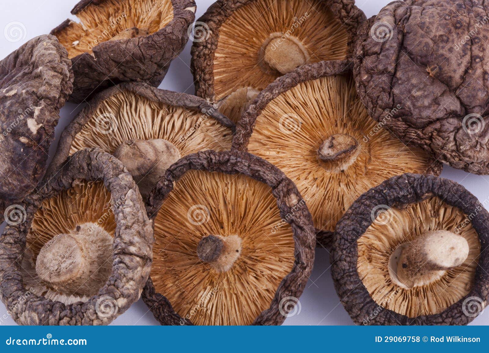 Chinesische Pilze stockfoto. Bild von getrocknet, asiatisch - 29069758