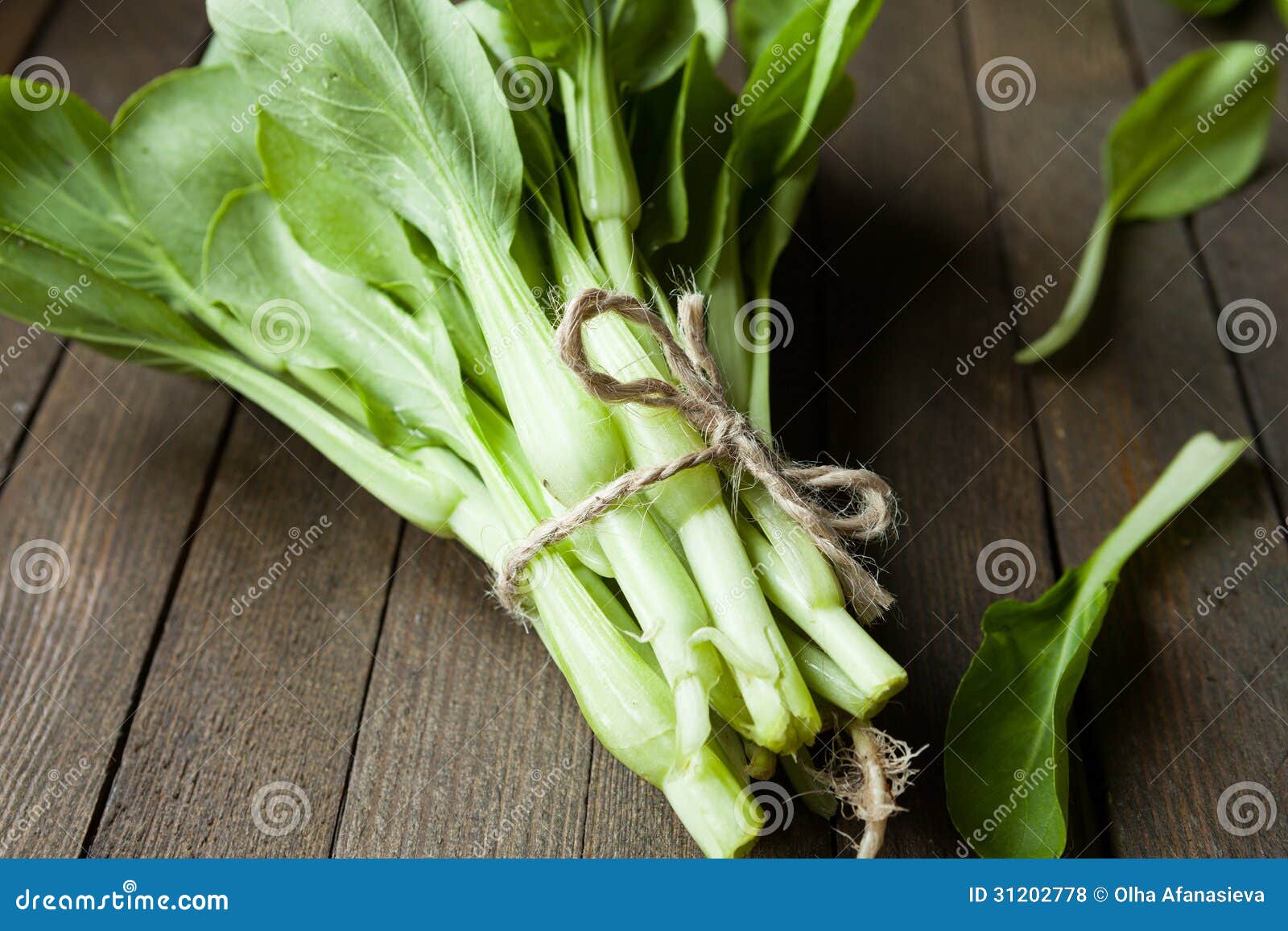 Chinesischer Blattkohl, PAK Choi Stockfoto - Bild von schätzchen ...