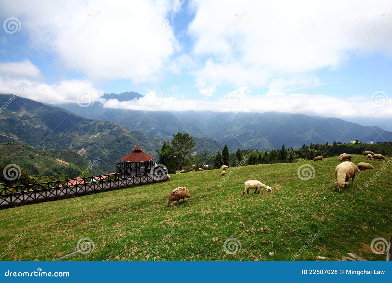 Chingjing Farm stock photo. Image of wushih, village - 22507028