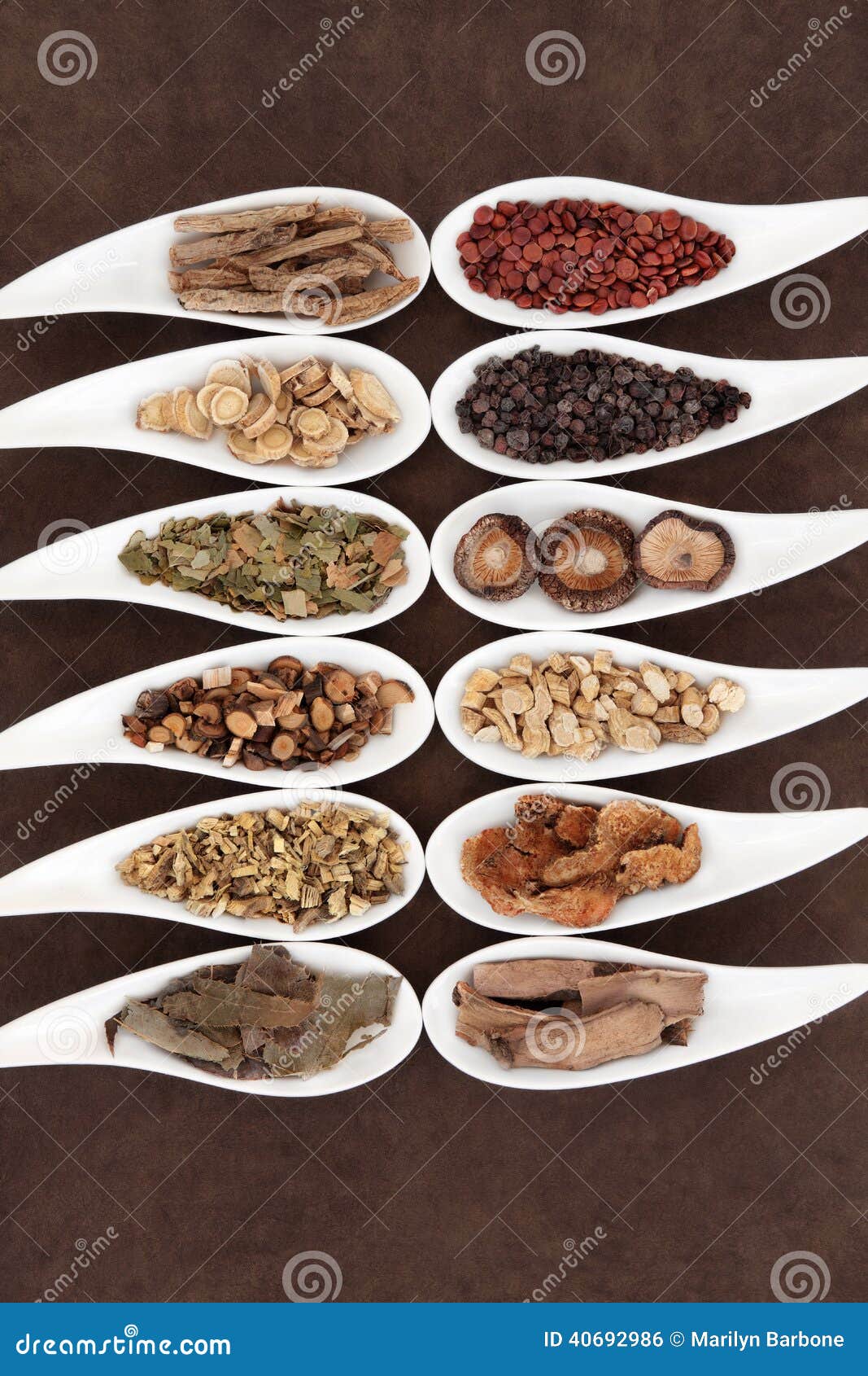 Chino Yang Herbs foto de archivo. Imagen de hierbas, alternativa - 40692986