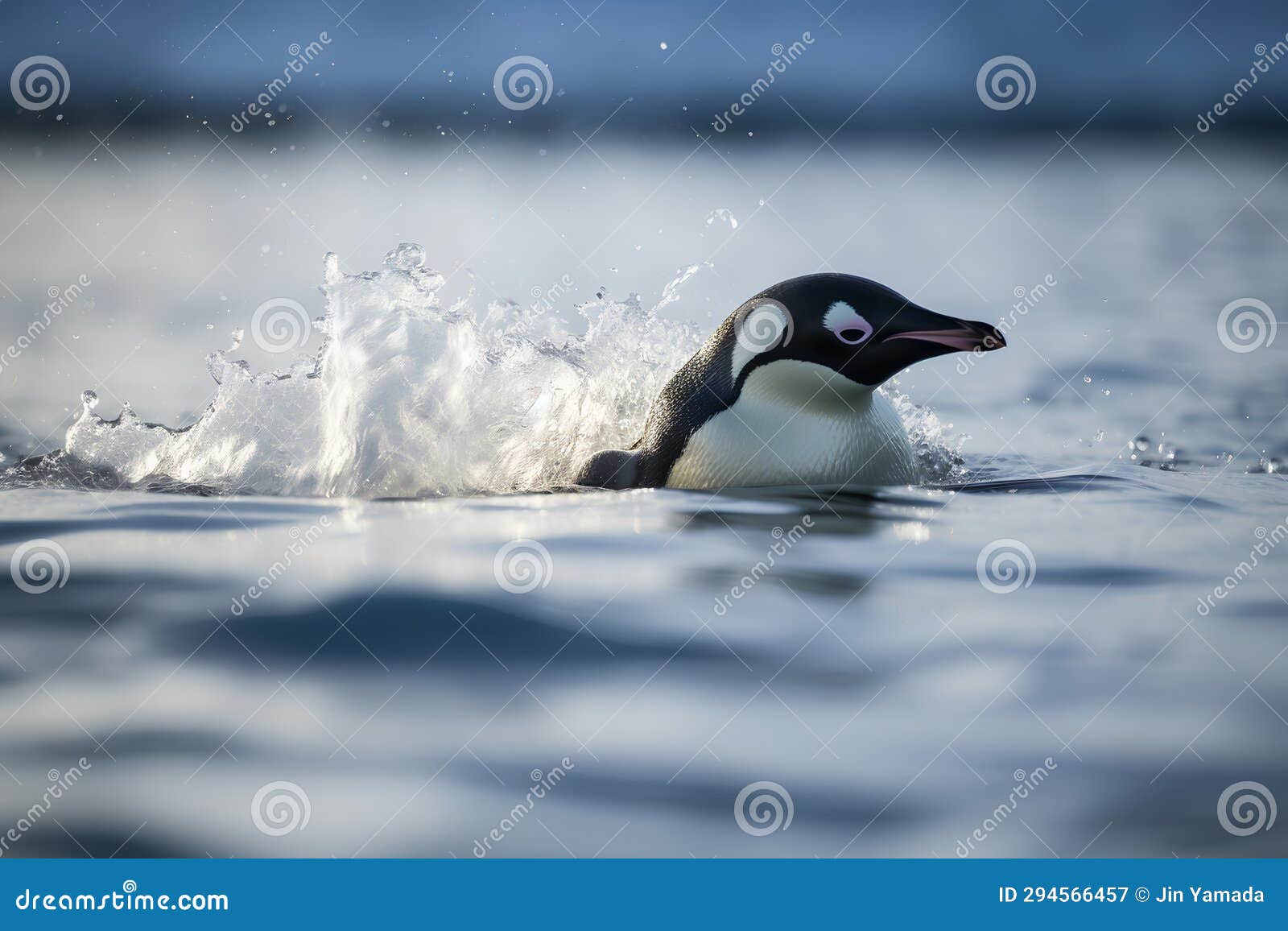 Chinstrap Penguin (Pygoscelis Chinstrap) Swimming in the Water. Stock ...