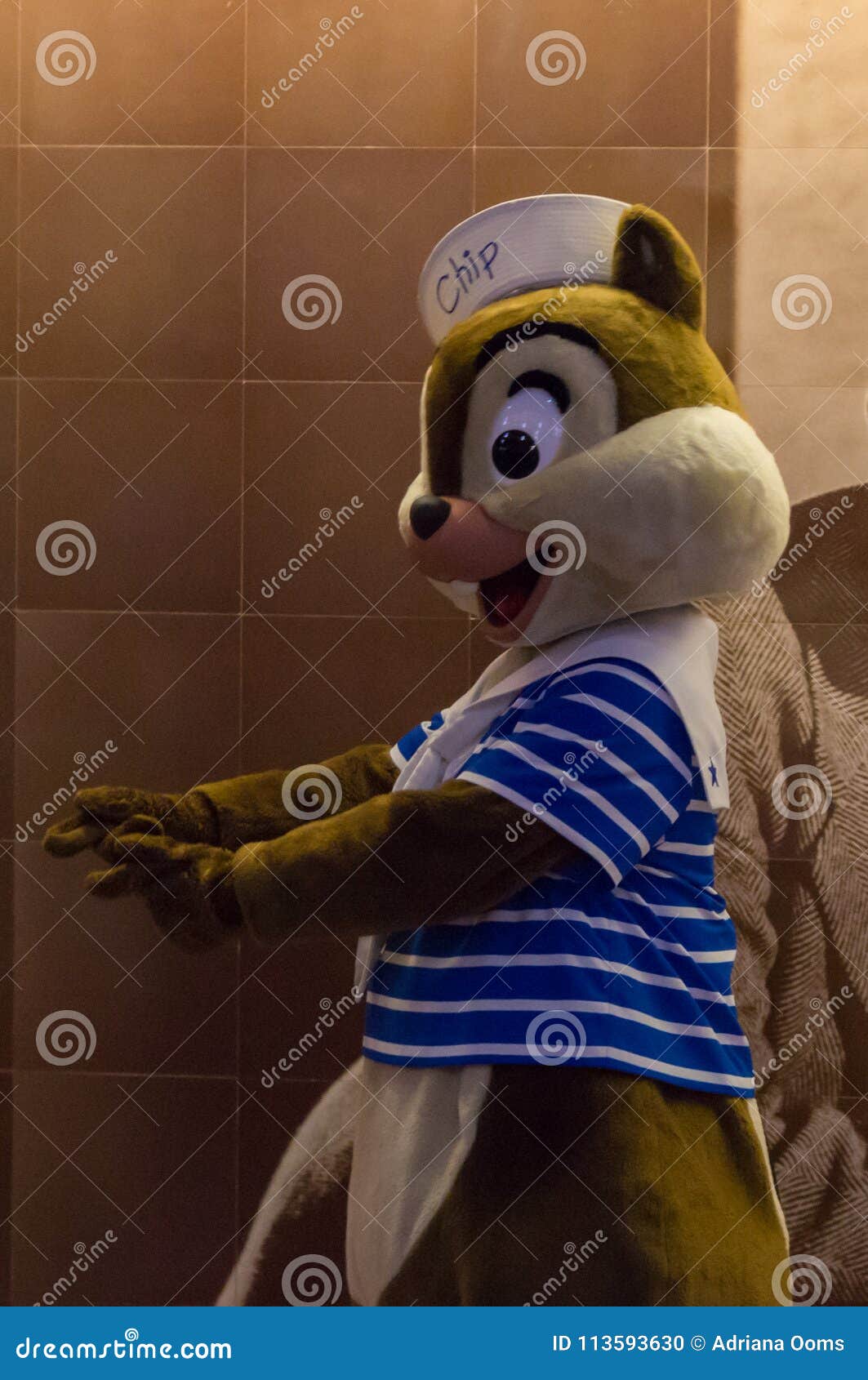 Chip And Dale Dancer Costume