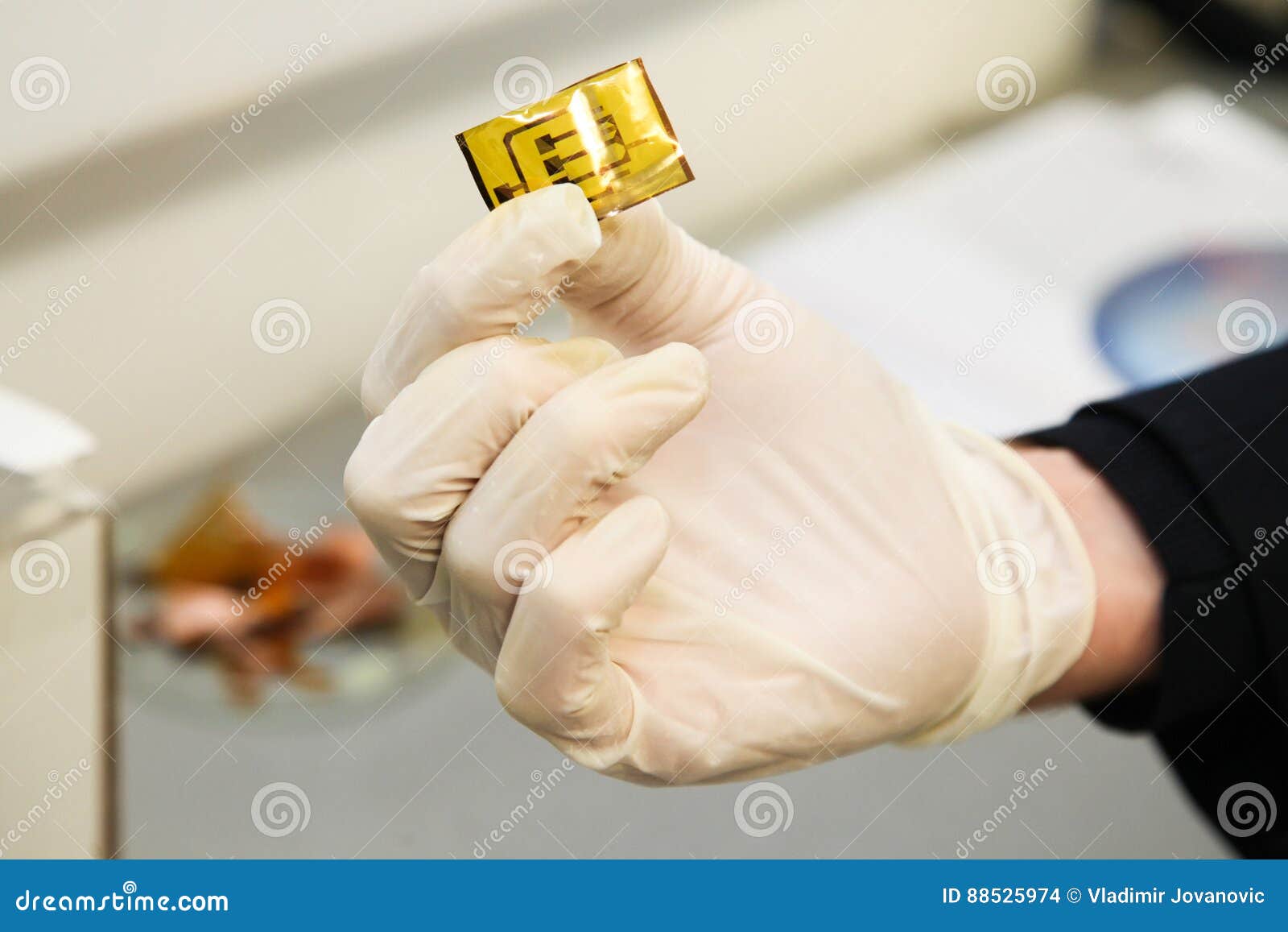 Chip in hand stock photo. Image of research, chemist - 88525974