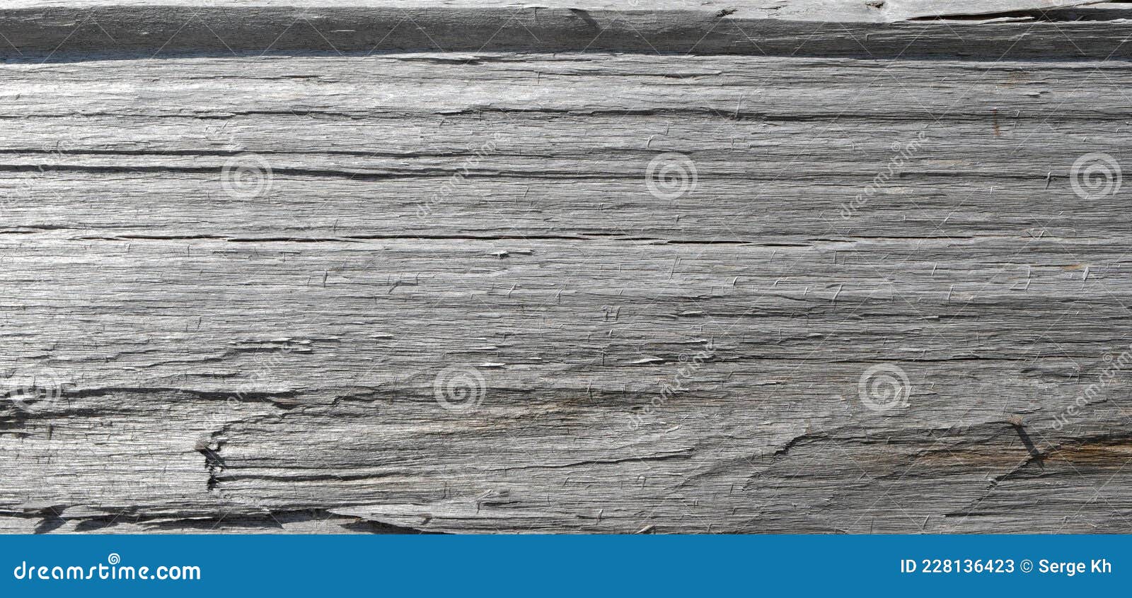 A Chip of an Old Rough Gray Log with Notches and Cracks Stock Image ...