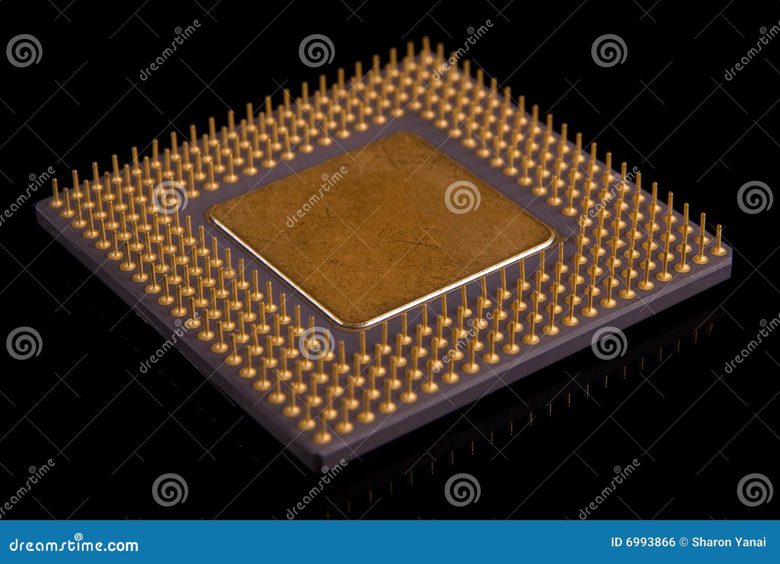 Chip and pin terminals - kidzvir