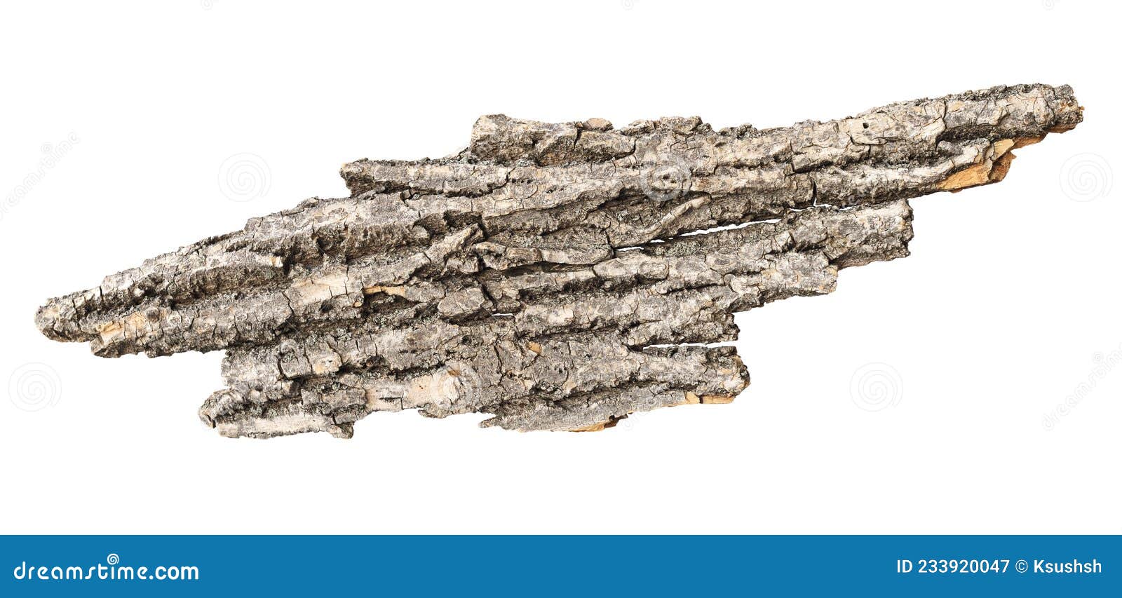 Chip of Tree Bark with Textured Surface Isolated on White Stock Image ...