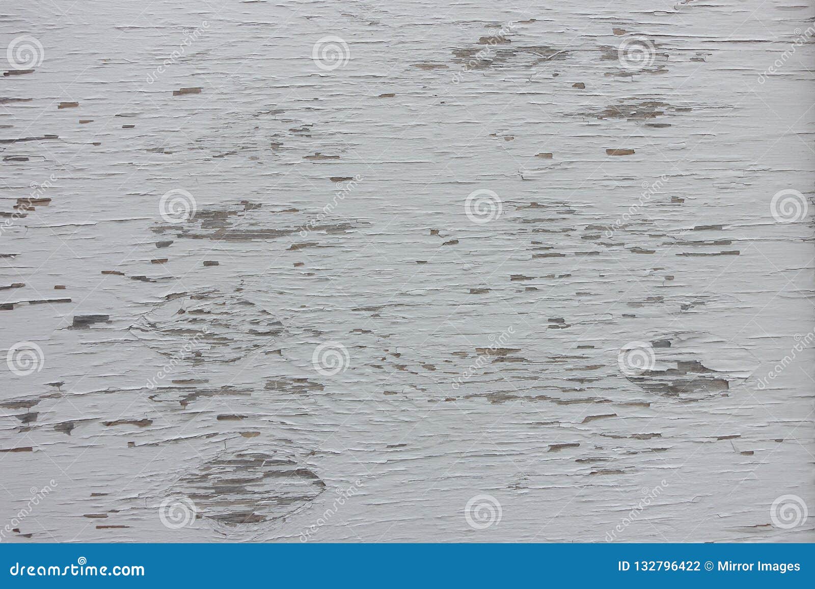 Wood Panel with White Chiping Paint with Wood Grain Stock Photo - Image ...