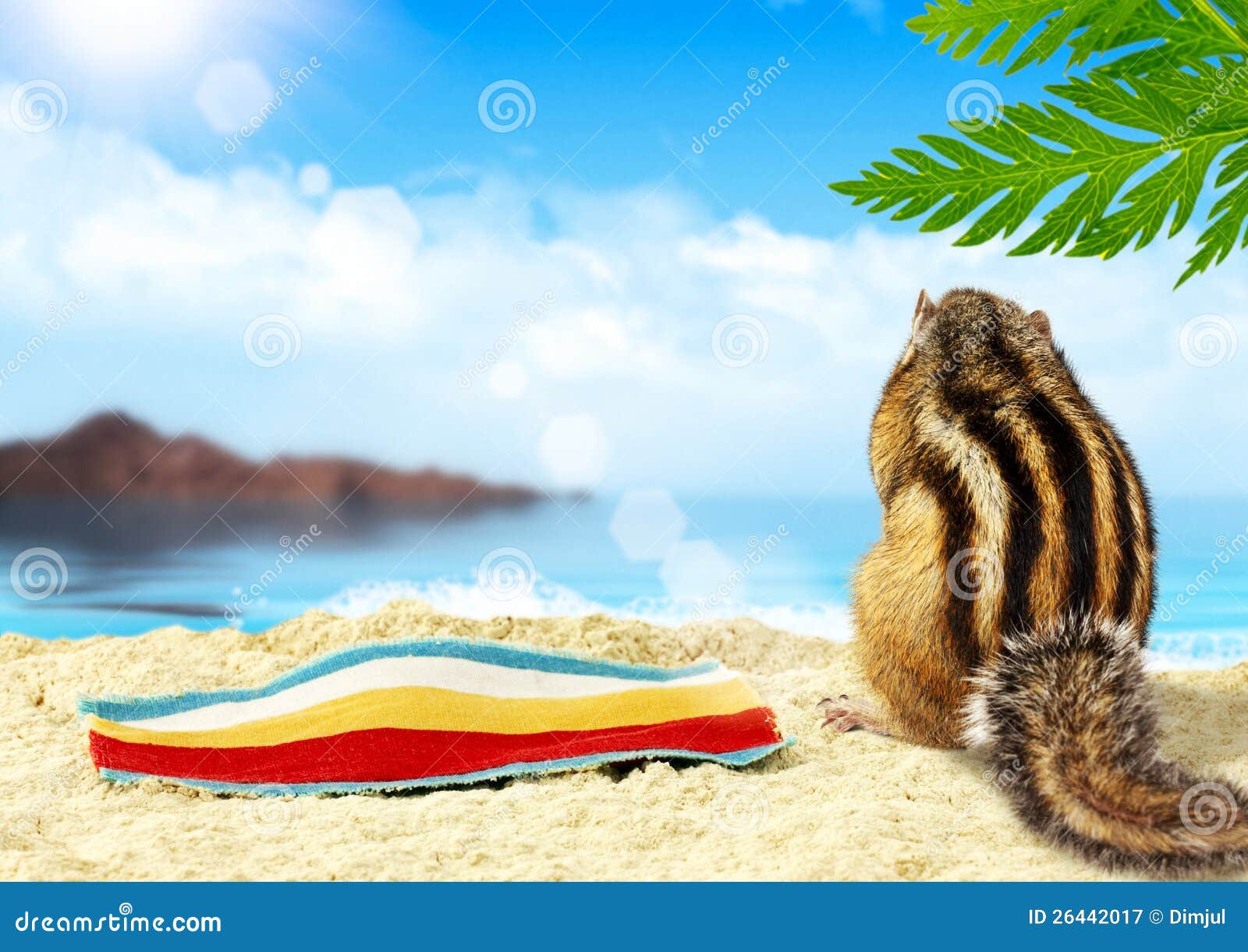 Chipmunk on Beach, Vacation Concept Stock Image - Image of travel ...