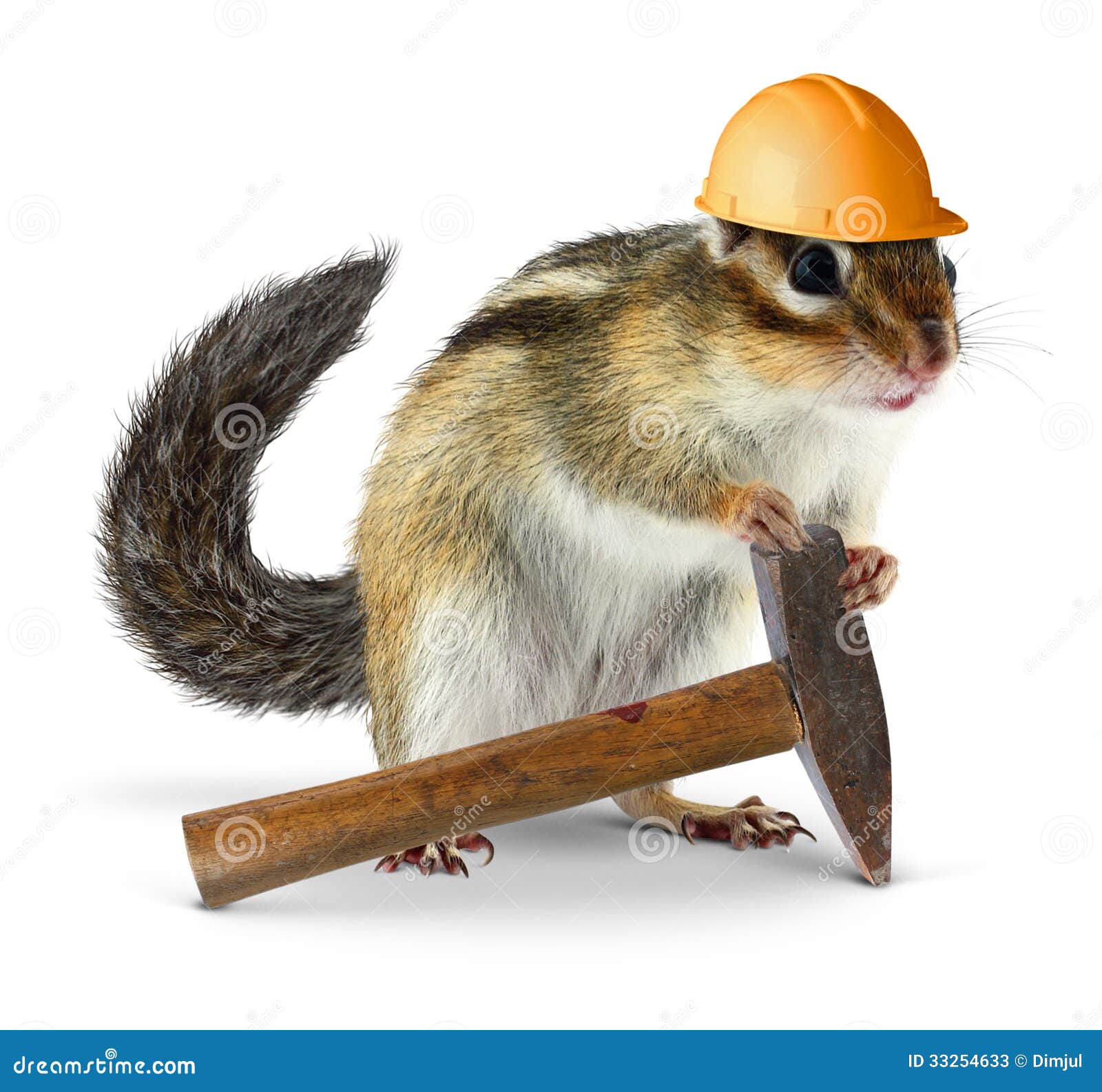 Chipmunk Builder, Reconstruction Concept Stock Image - Image of project, hardhat: 33254633