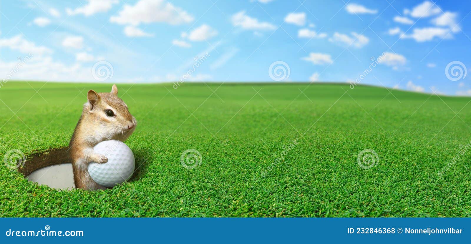 Squirrel Golf Ball Photos - Free & Royalty-Free Stock Photos from ...