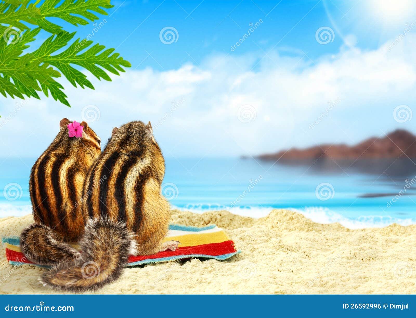 Chipmunks on the Beach, Honeymoon Concept Stock Photo - Image of ...
