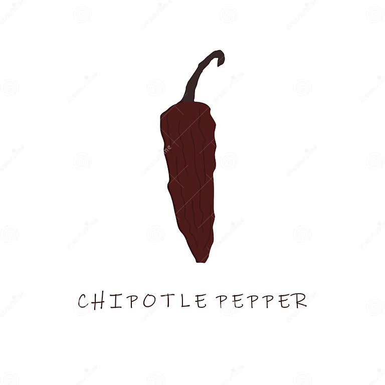 Chipotle Pepper Flat Design Vector Illustration Stock Illustration ...