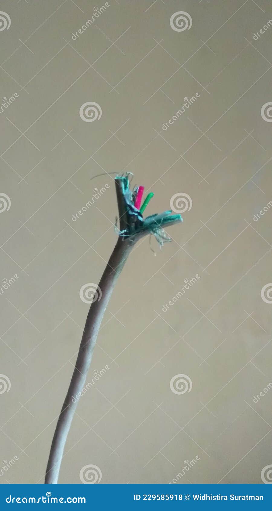 Chipped cable stock photo. Image of illustrations, print - 229585918