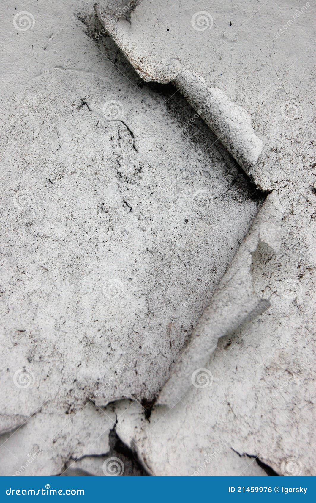 Chipped paint on wall stock photo. Image of faded, hole - 21459976