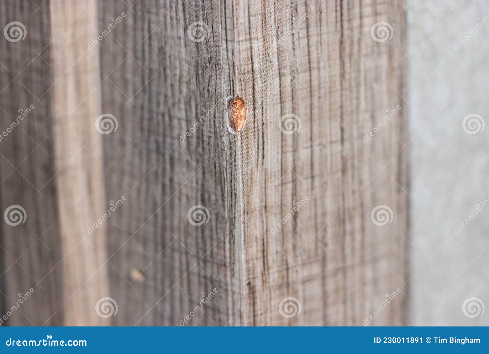Chipped corner trim stock image. Image of wooden, trim - 230011891
