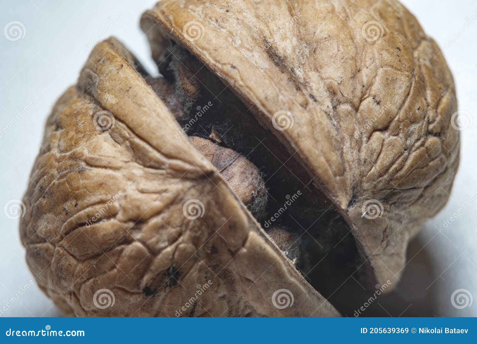 Chipped Walnut with a Crack between the Two Halves Stock Image - Image ...