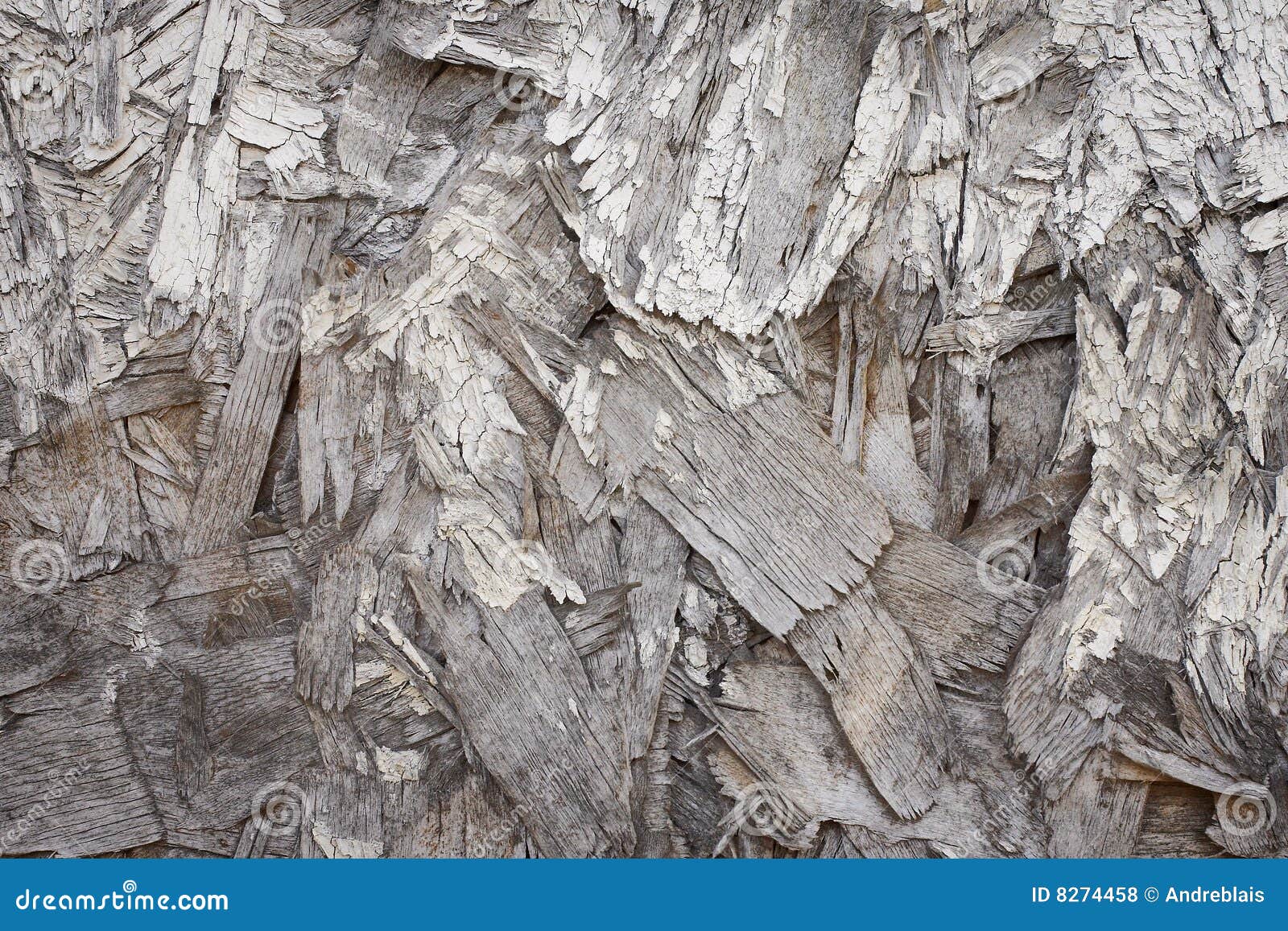 Chipped Wood Texture Photographed With Low Angel Royalty-Free Stock ...