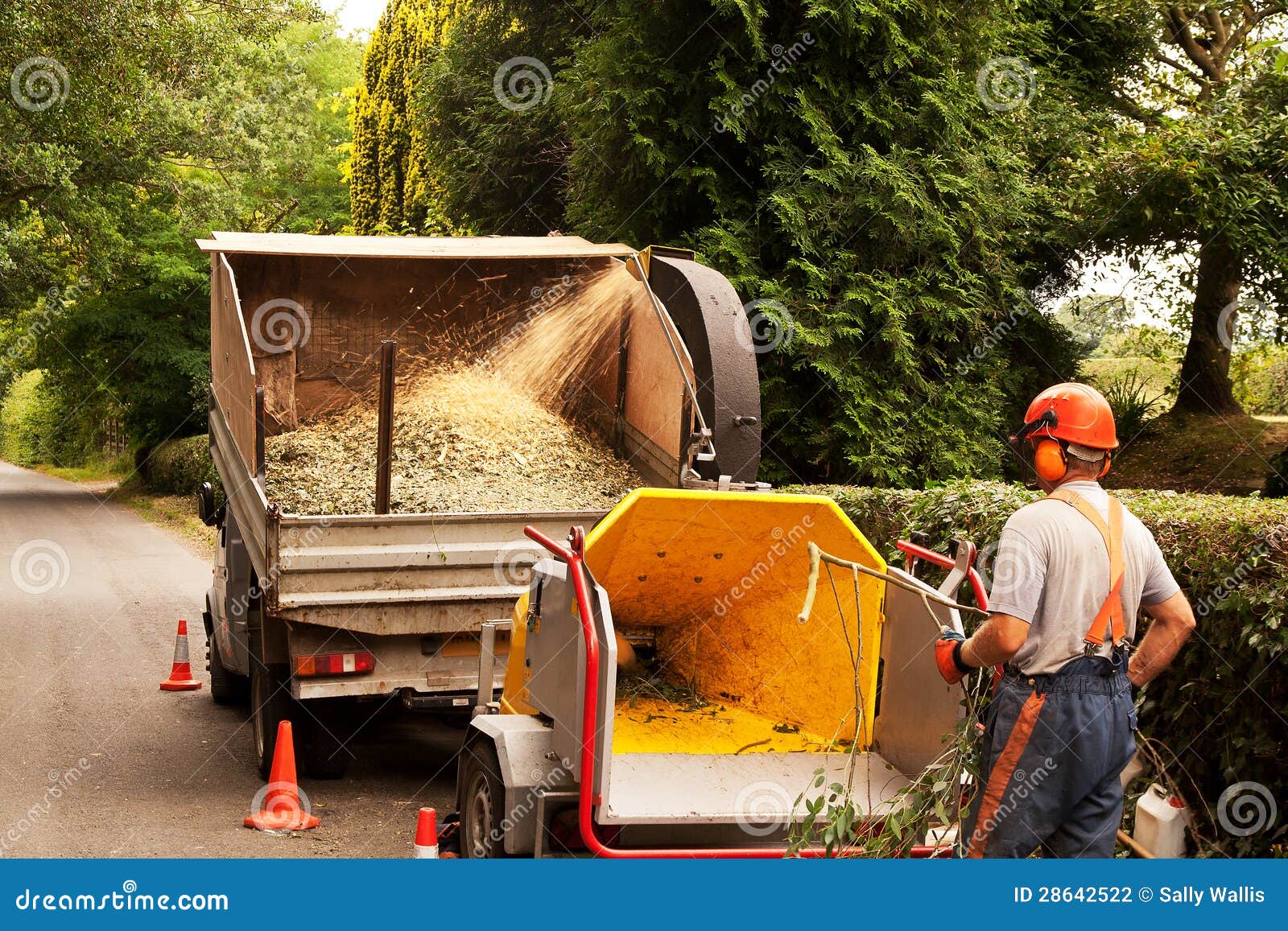 Chipper spewing out chips stock photo. Image of deciduous - 28642522