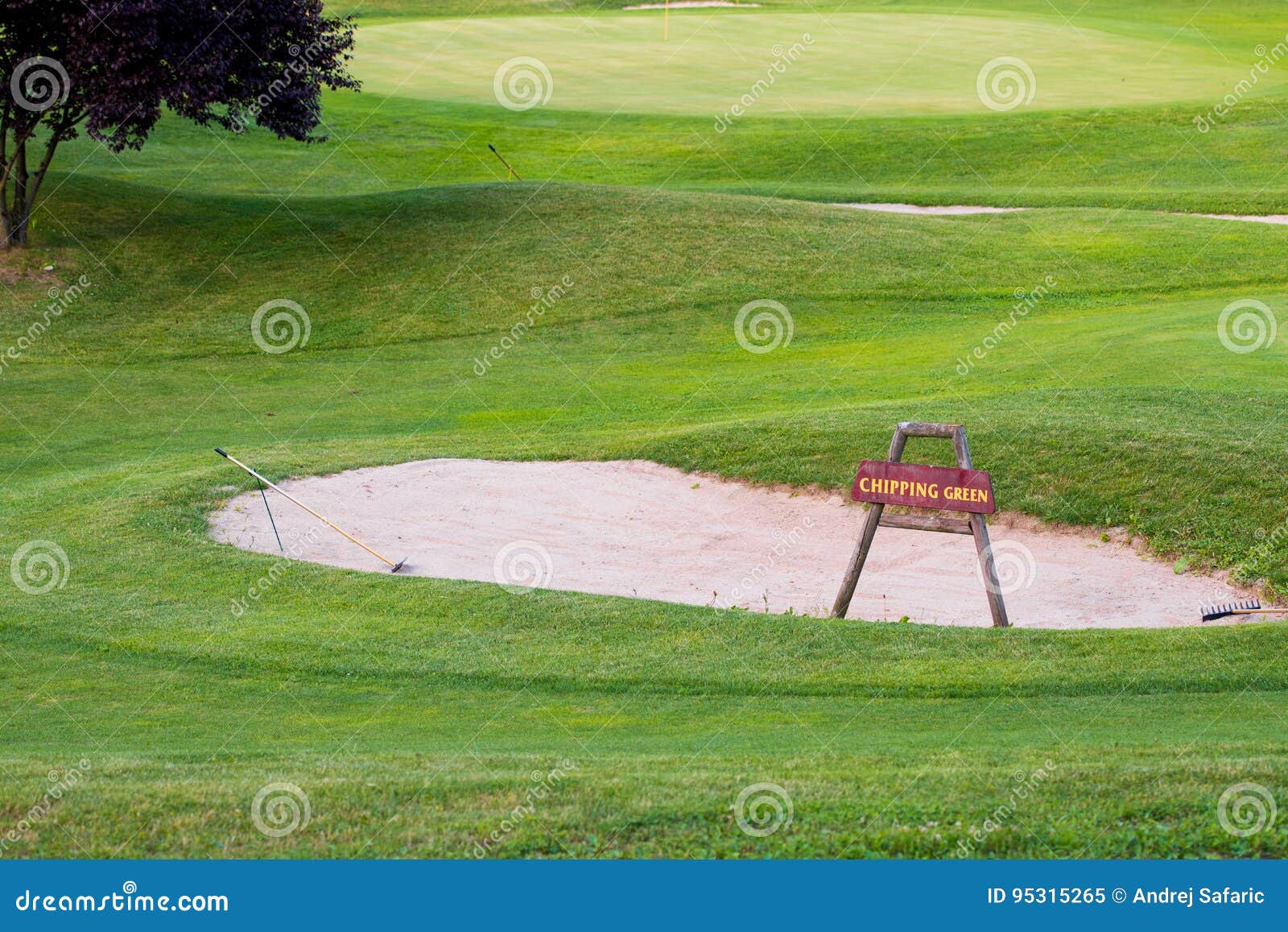 Chipping Green Sign in Front of Bunker on Golf Course Stock Image ...
