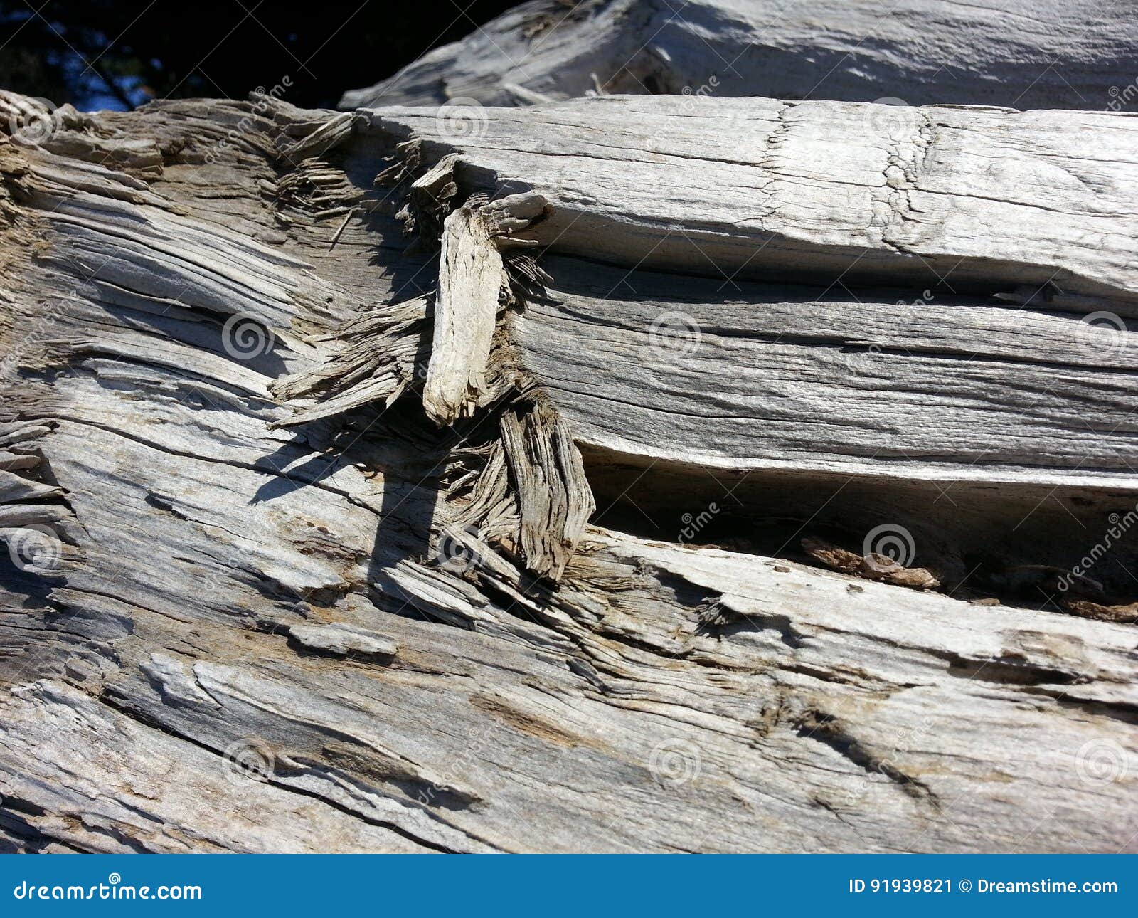 Chipping Wood stock image. Image of humboldt, colorful - 91939821