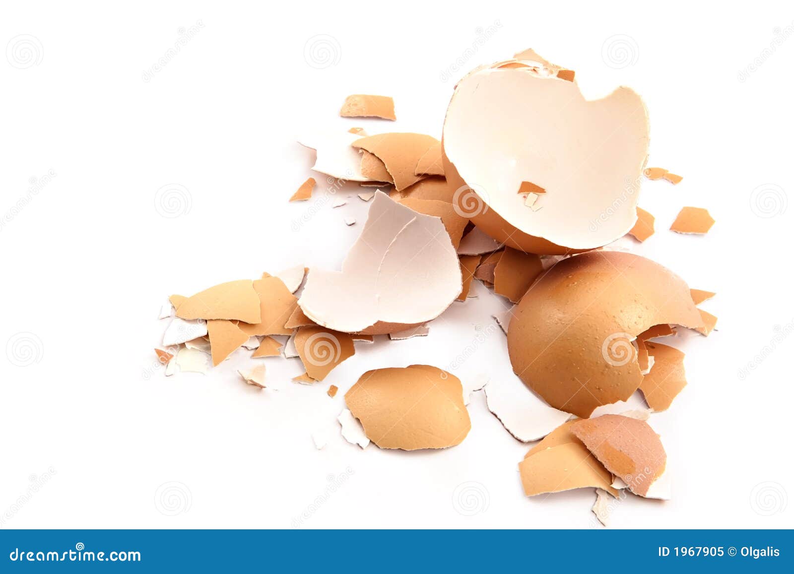 Chips of the Crushed Egg Shell Stock Image - Image of still, crush: 1967905