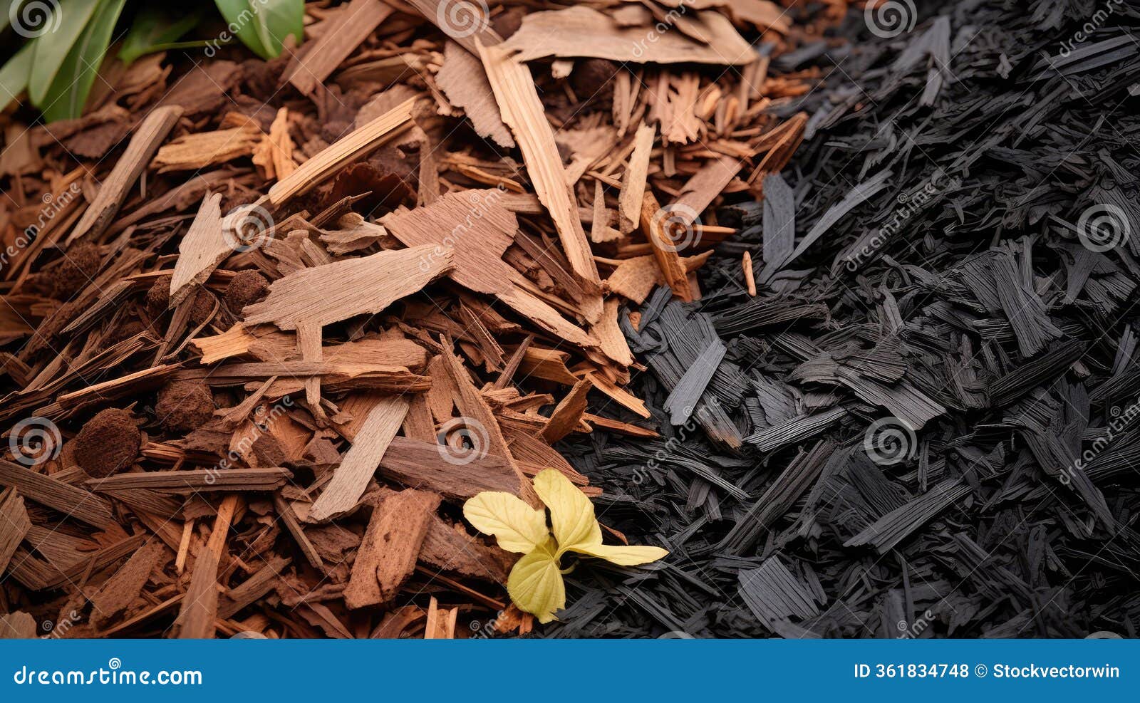 Chips Mulch Texture Royalty-Free Cartoon | CartoonDealer.com #361834748