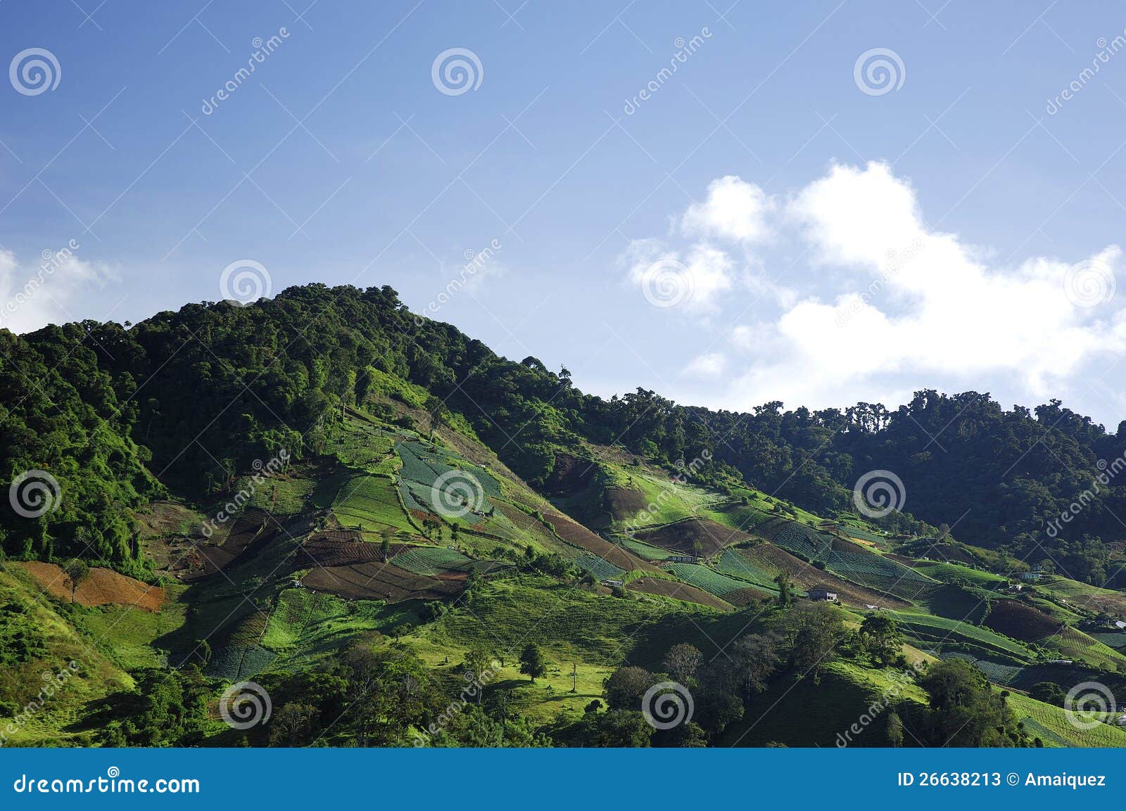 Chiriqui stock image. Image of america, chiriqu, scenic - 26638213
