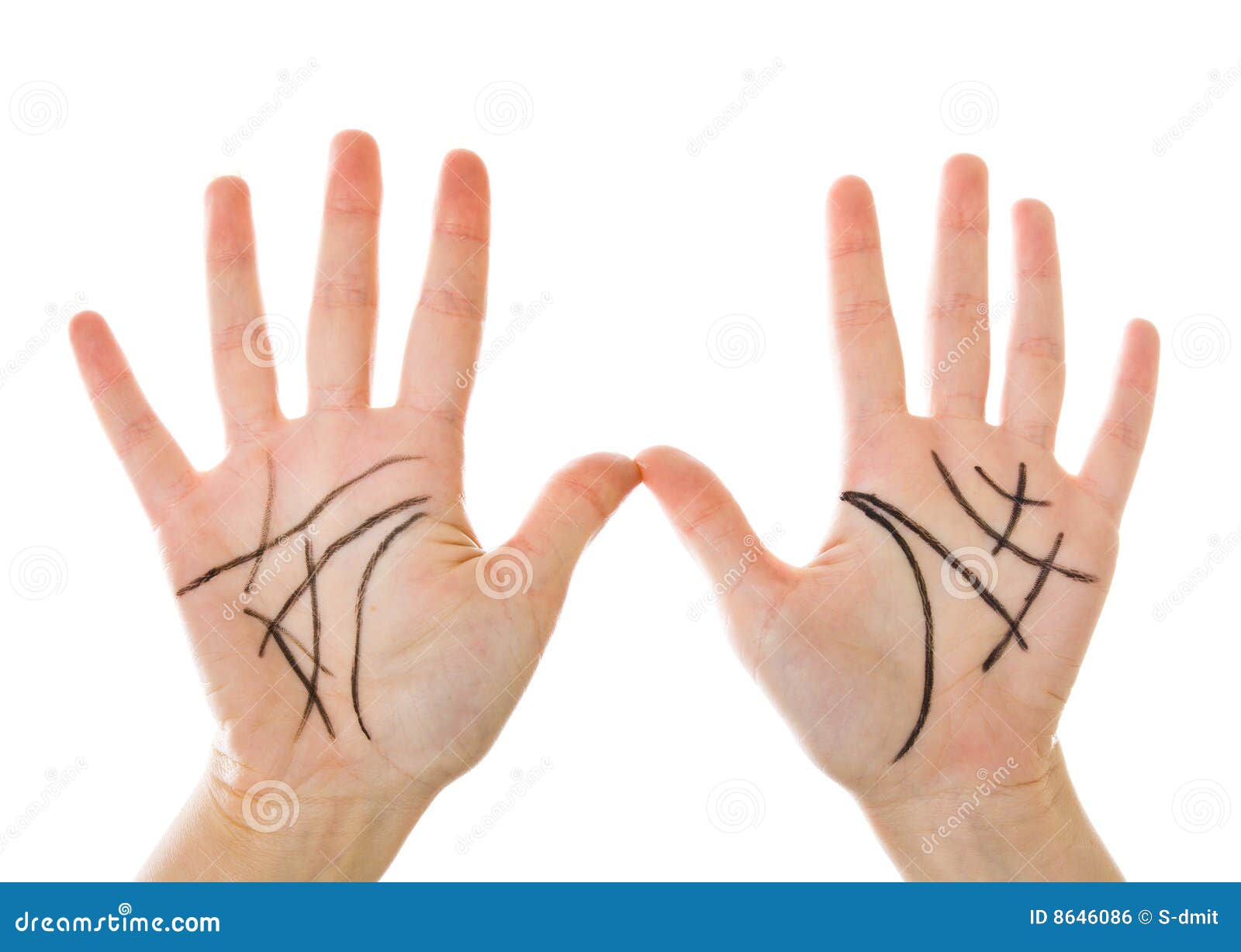 Chiromancy stock photo. Image of human, chiromancy, contour - 8646086