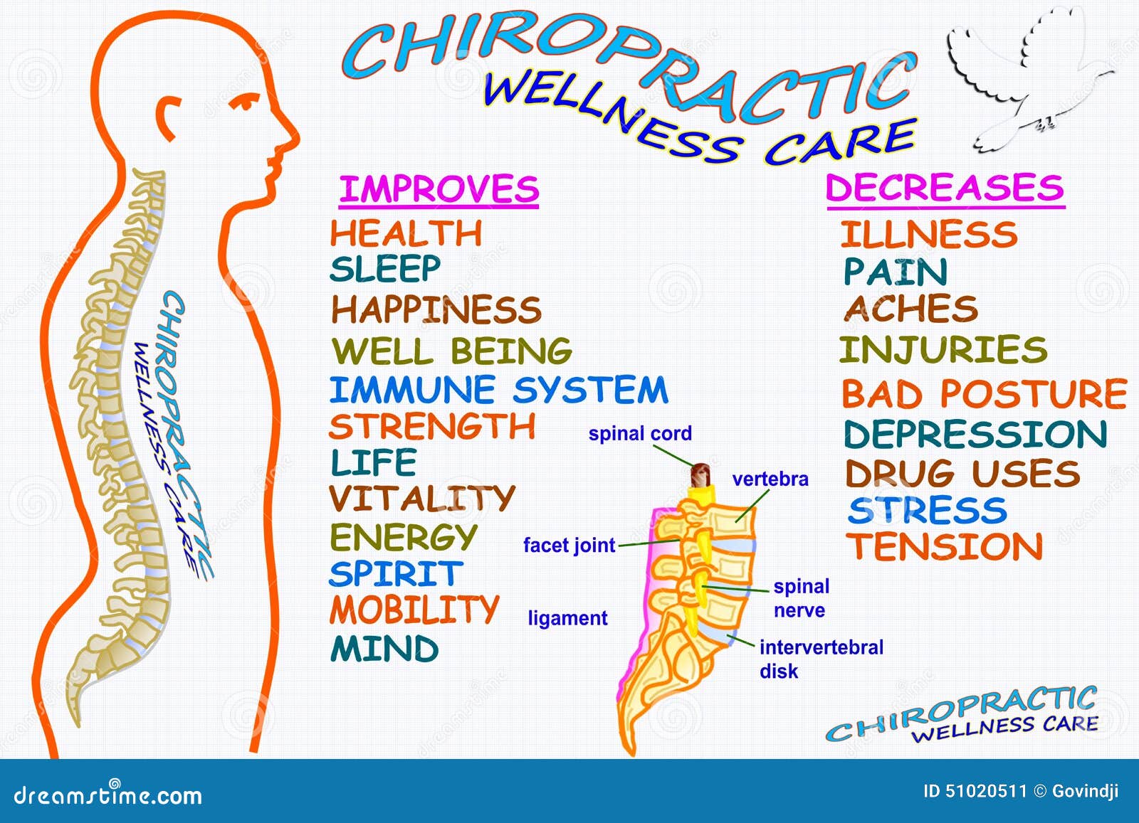 Chiropractic Wellness Care Therapy Related Words Stock Illustration ...