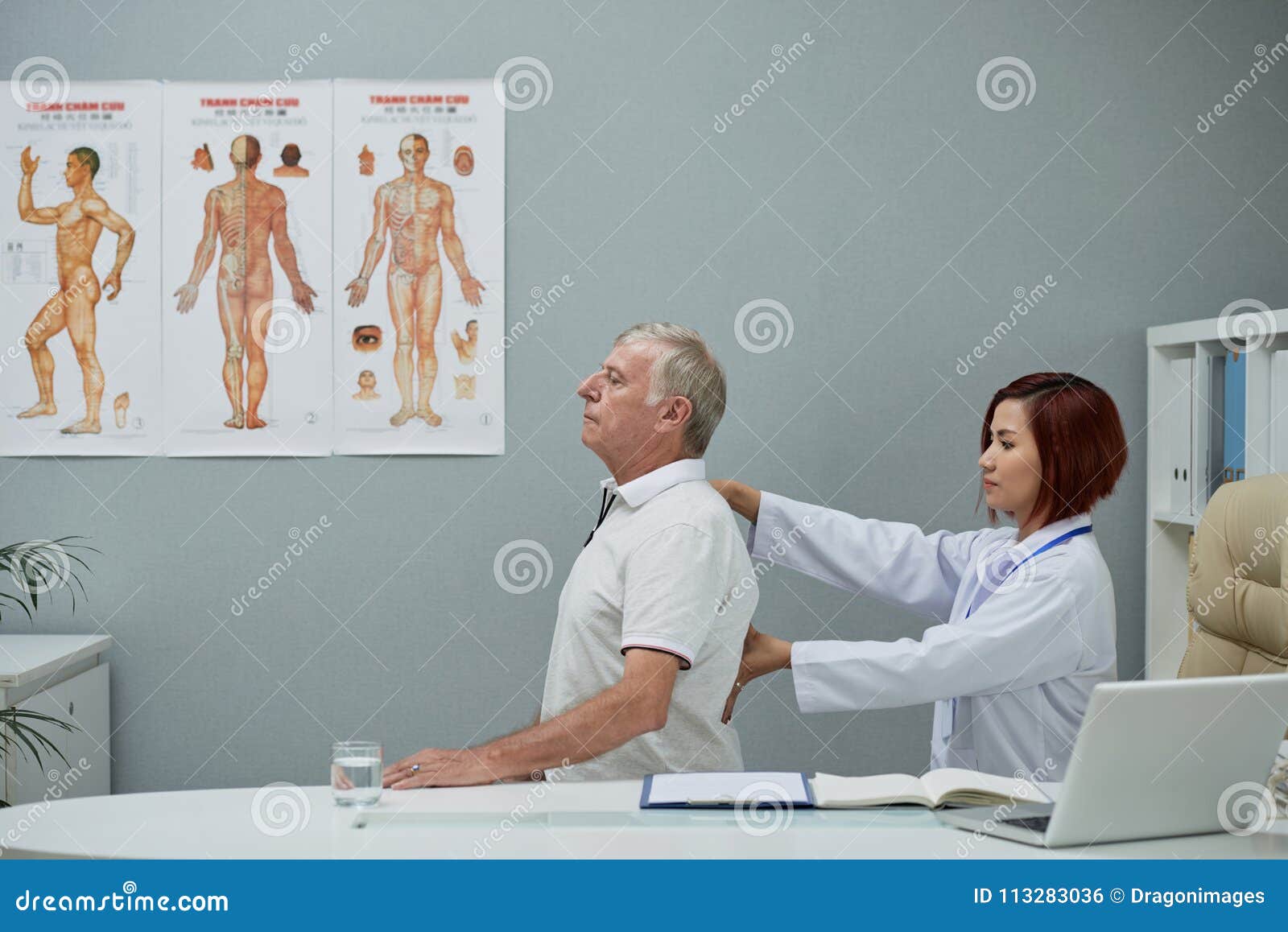Chiropractor Checking Spine Stock Photo - Image of medical, occupation ...