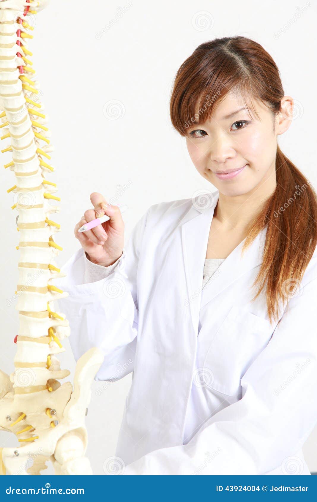 Chiropractor Using a Plastic Model To Explain Stock Photo - Image of ...