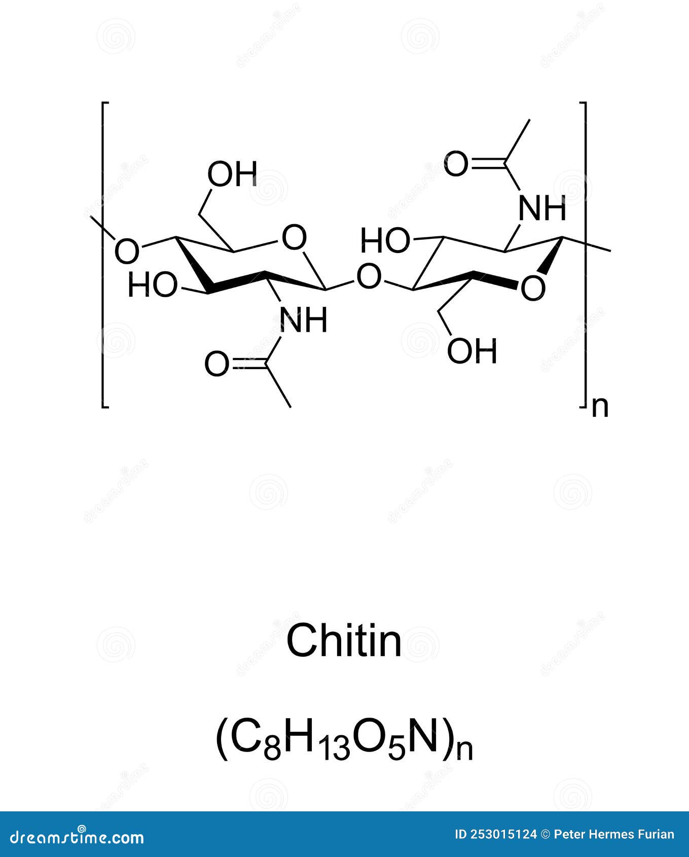 Chitin Structure