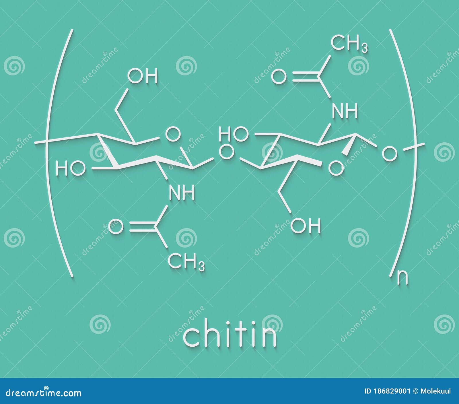 Chitin Structure Stock Image | CartoonDealer.com #84223951 Chitin Structure Stock Image | CartoonDealer.com #84223951