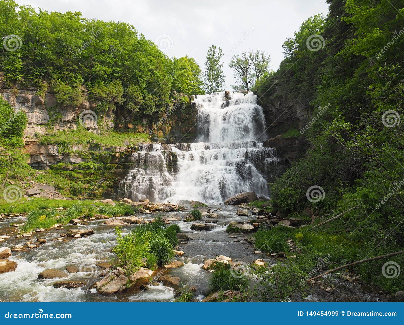 Chittenango Falls View From Trail Bottom Vertical View Stock Photo ...