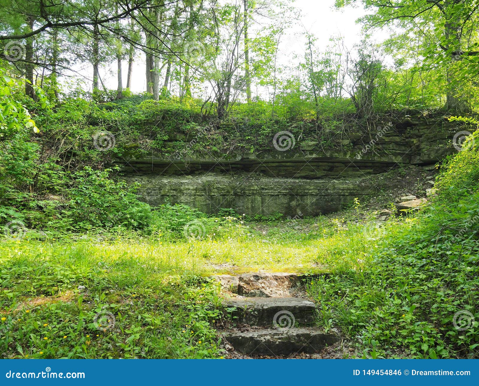 Chittenango Falls State Park Rock Wall Stock Photo - Image of ...