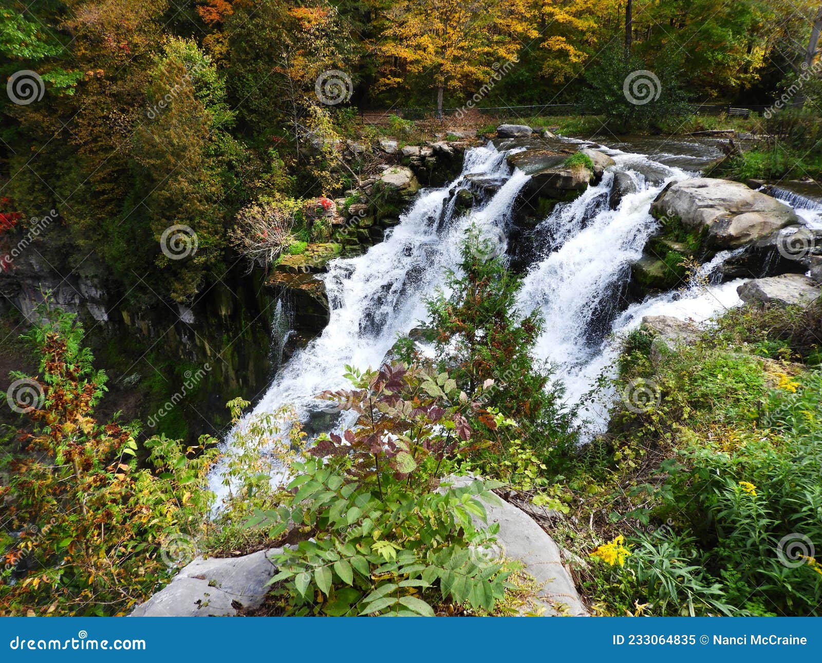 Chittenango Falls View From Trail Bottom Vertical View Stock Photo ...