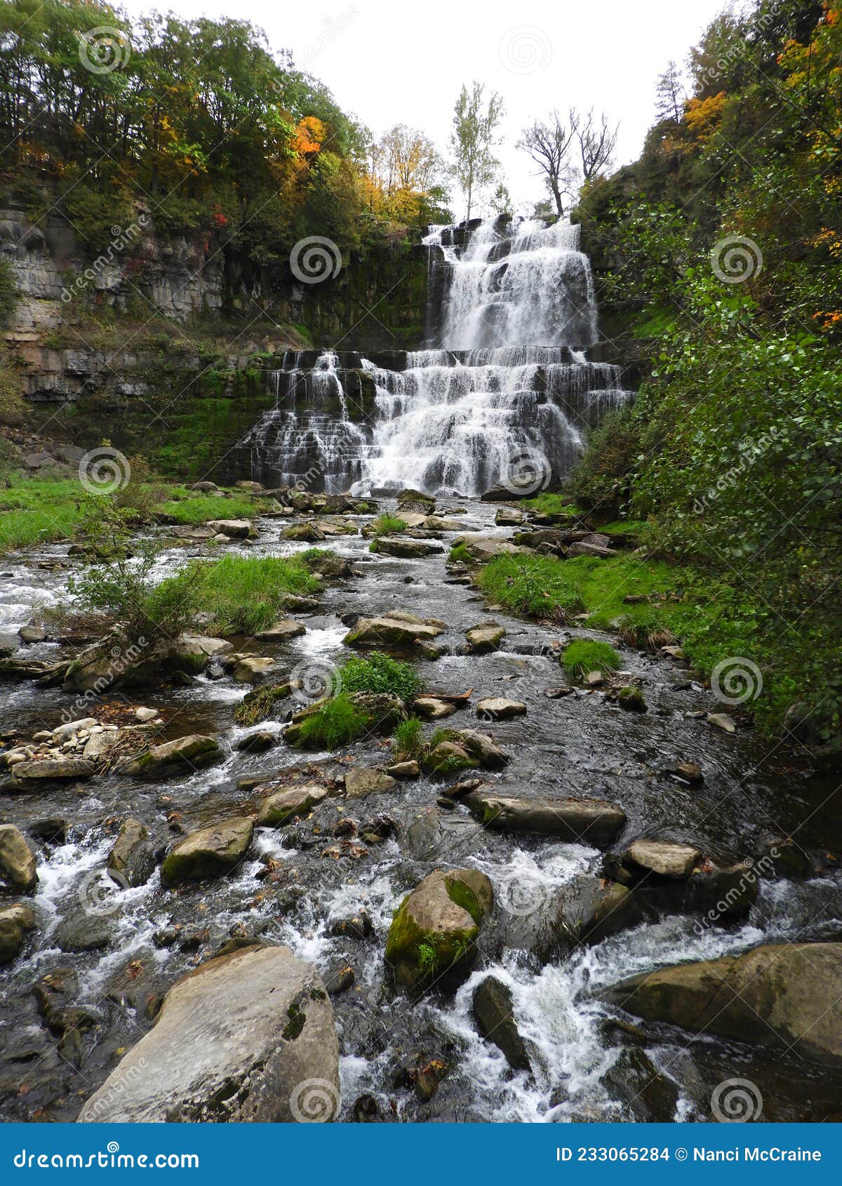 Chittenango Falls View From Trail Bottom Vertical View Stock Photo ...