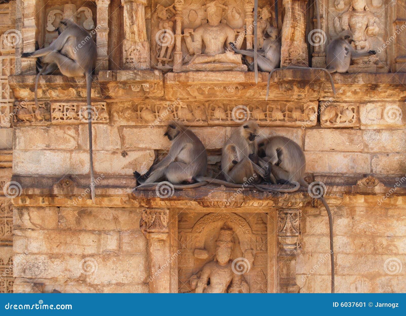 Chittorgarh Citadel Ruins in Rajasthan, India Stock Image - Image of ...
