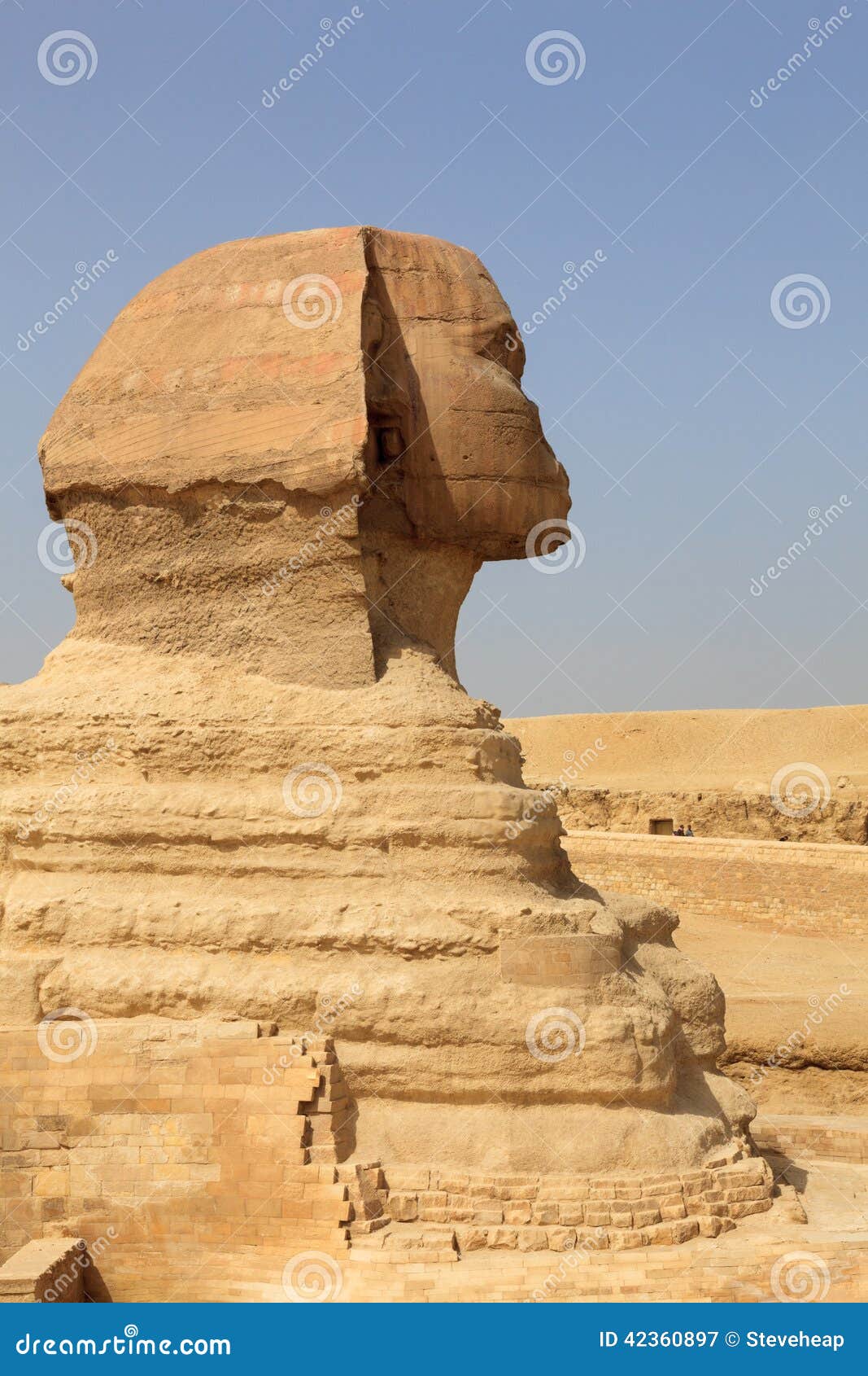 Chiuda Su Della Vista Laterale Della Sfinge Il Cairo Immagine Stock ...