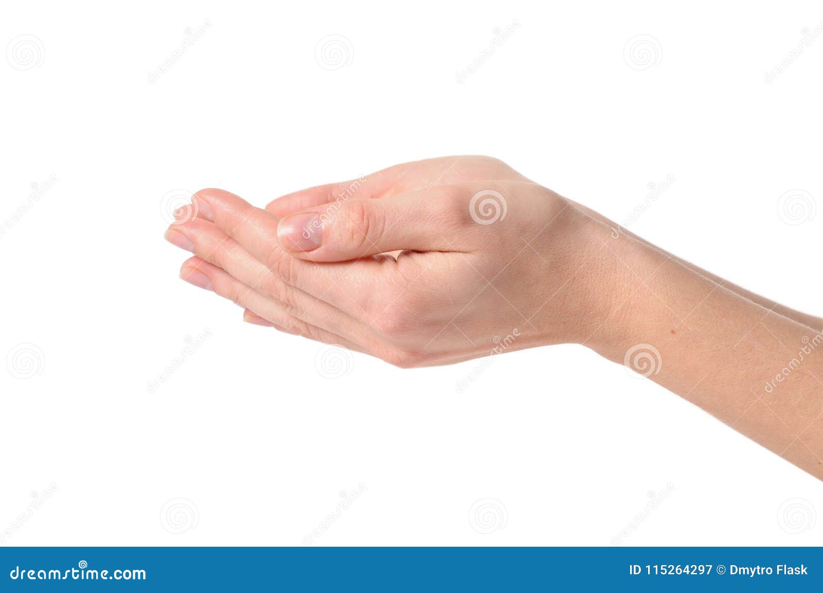 Chiuda Su Delle Mani A Coppa Della Donna Immagine Stock - Immagine di ...