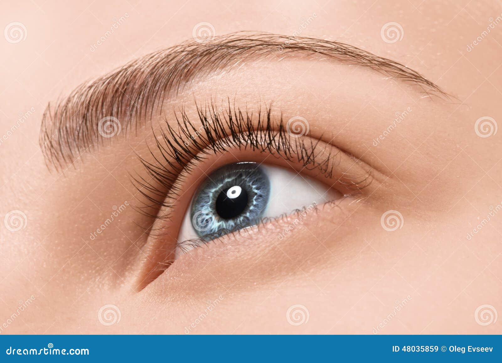 Chiuda Sull'occhio Azzurro Con Trucco Immagine Stock - Immagine di ...