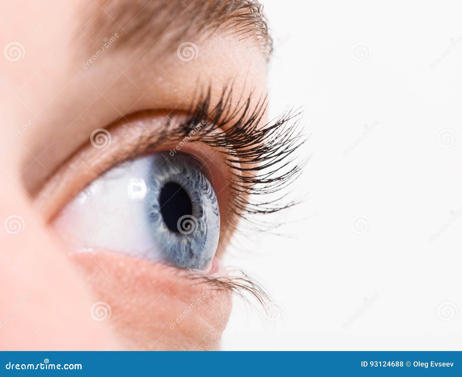 Chiuda Sull'occhio Azzurro Con Trucco Fotografia Stock - Immagine di ...