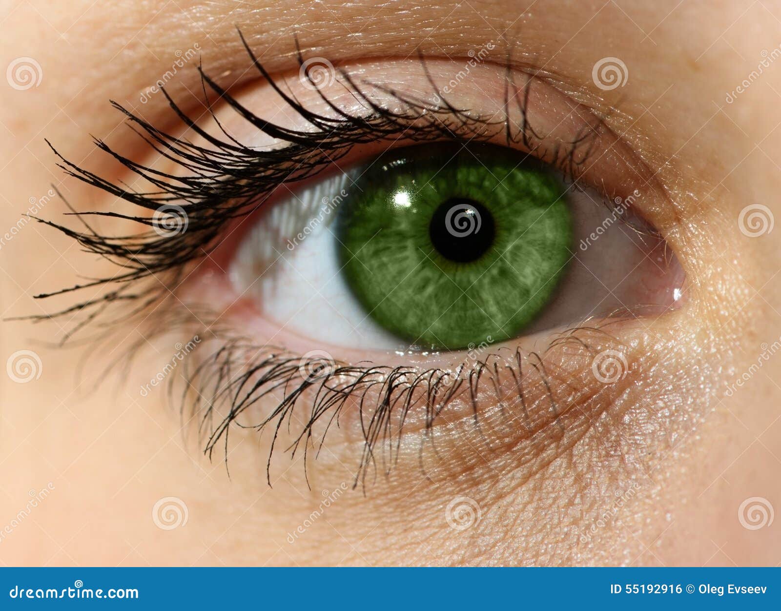 Chiuda Sull'occhio Verde Con Trucco Fotografia Stock - Immagine di ...