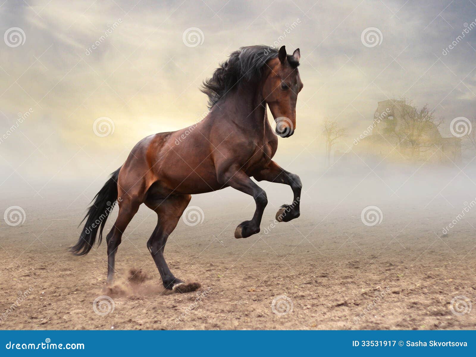 Chivalrous knight stock image. Image of castle, jumps - 33531917