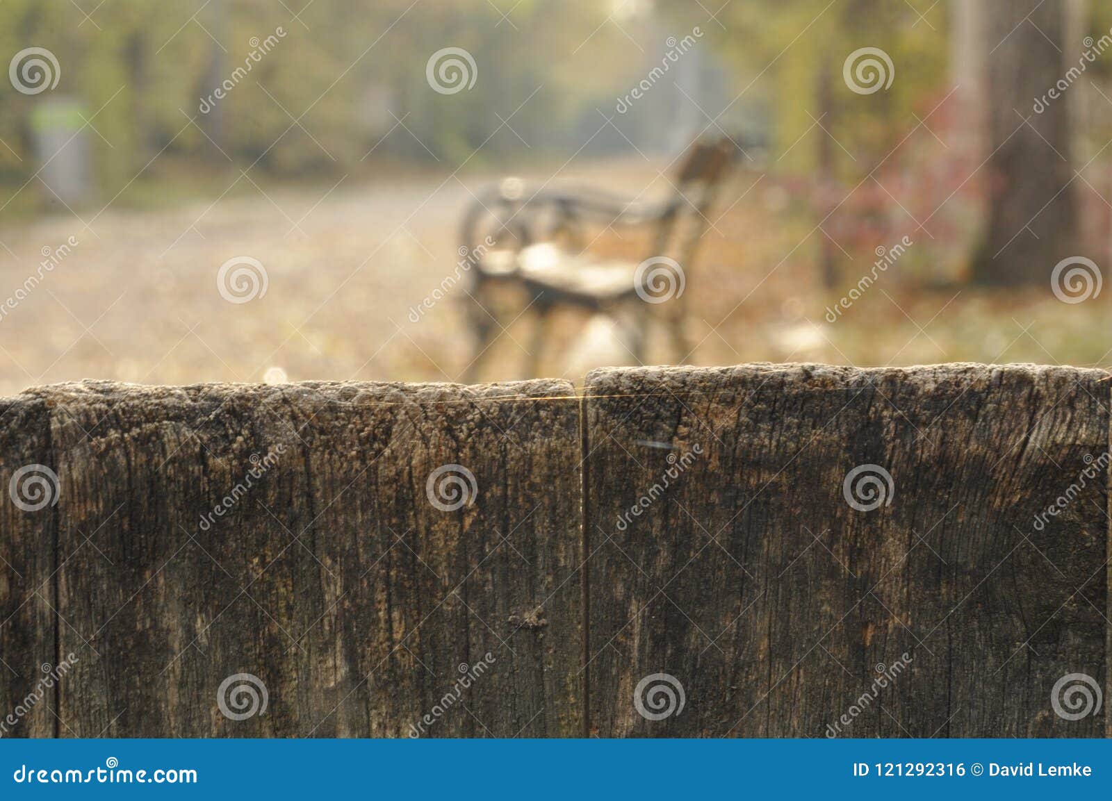 Chivato sobre la cerca foto de archivo. Imagen de chivato - 121292316