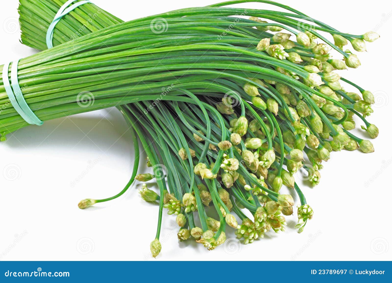 Chive stock image. Image of produce, chive, background - 23789697