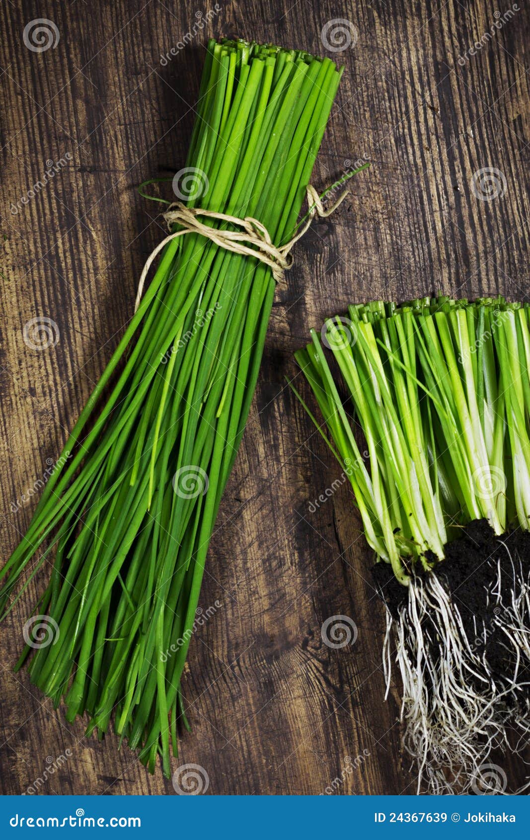 Chive stock image. Image of vegetable, gourmet, garden - 24367639