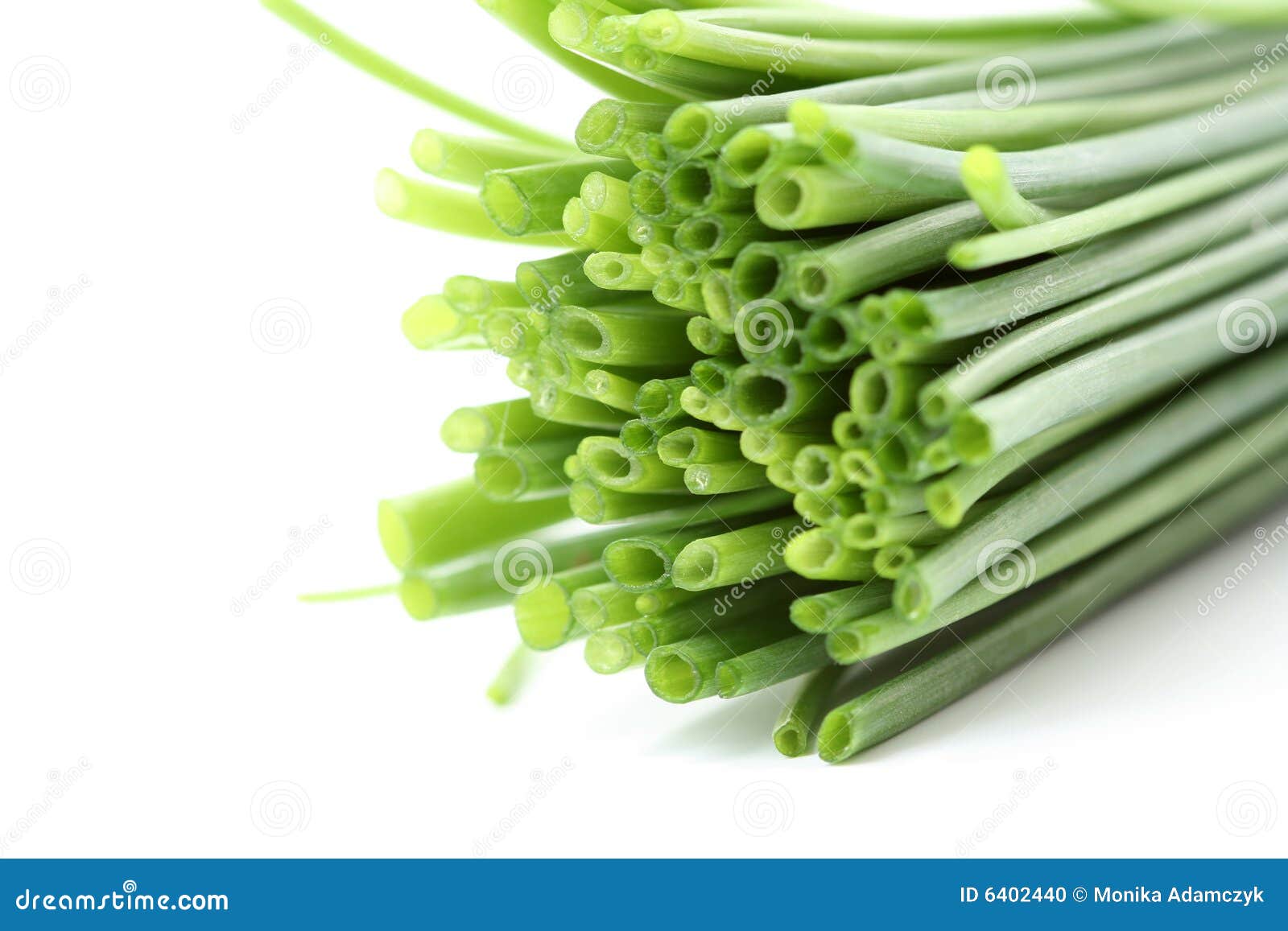 Chive stock photo. Image of garnish, ingredient, green - 6402440